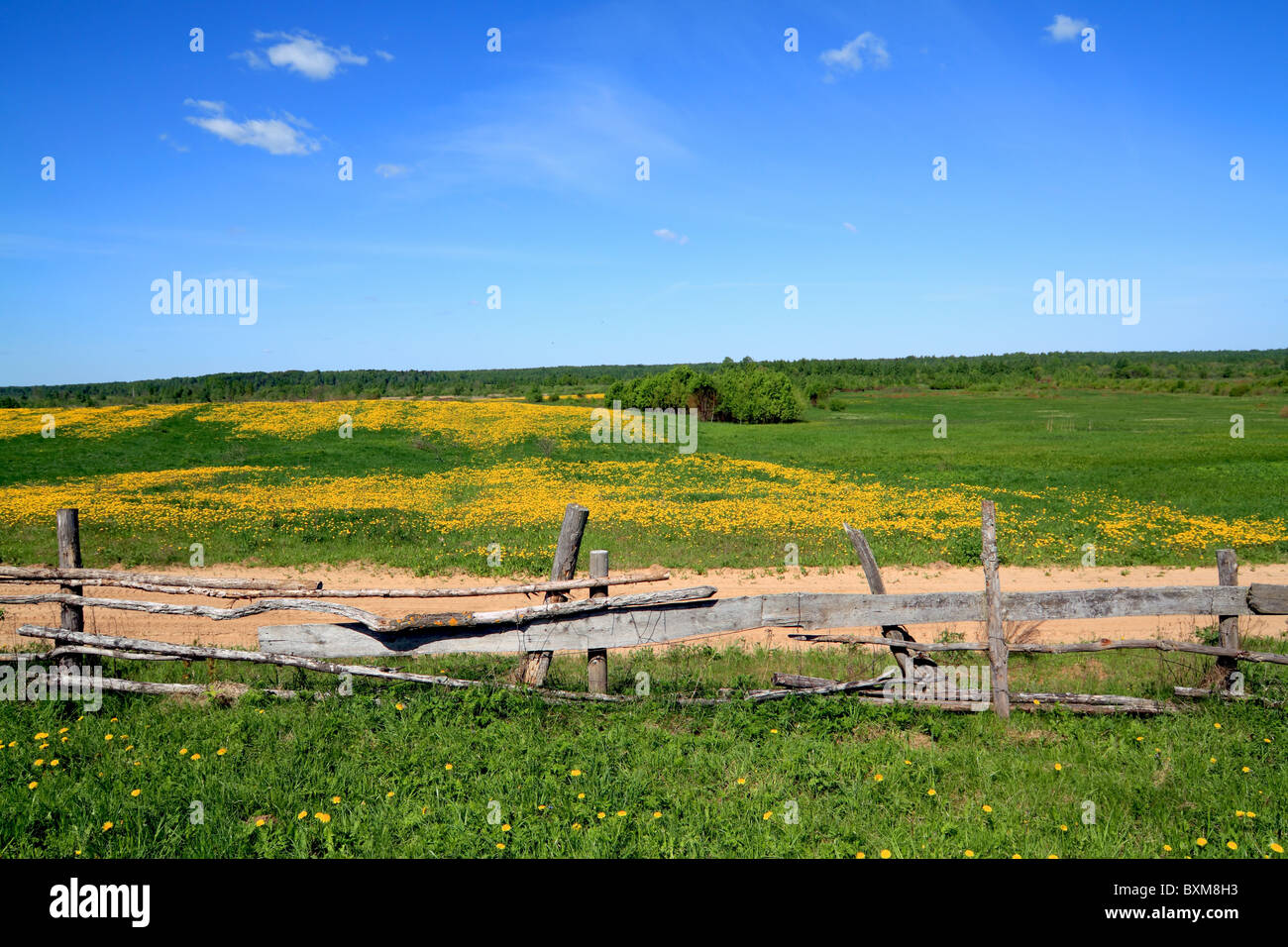Lumber roads hi-res stock photography and images - Alamy