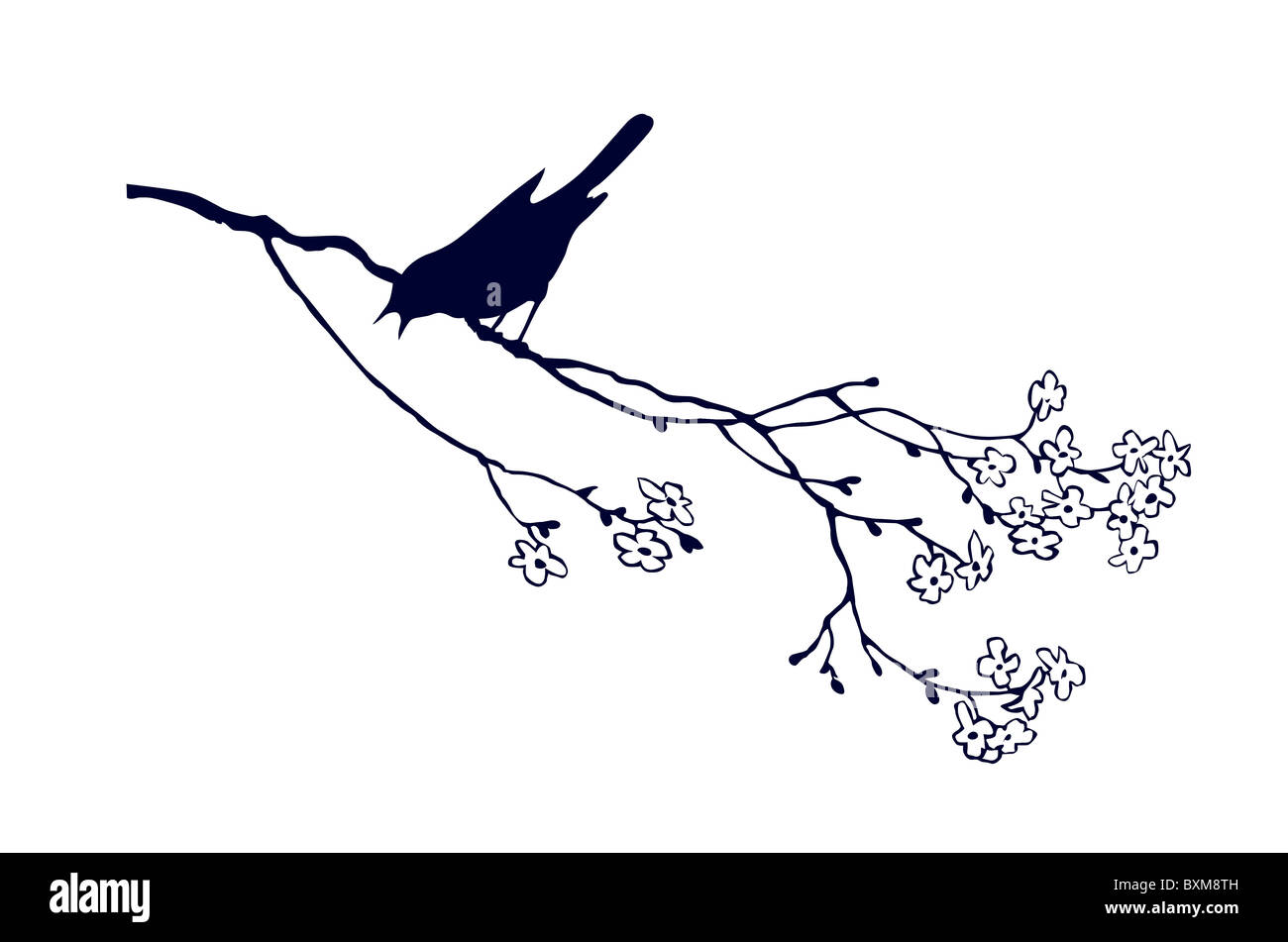 vector silhouette of the bird on branch tree Stock Photo - Alamy