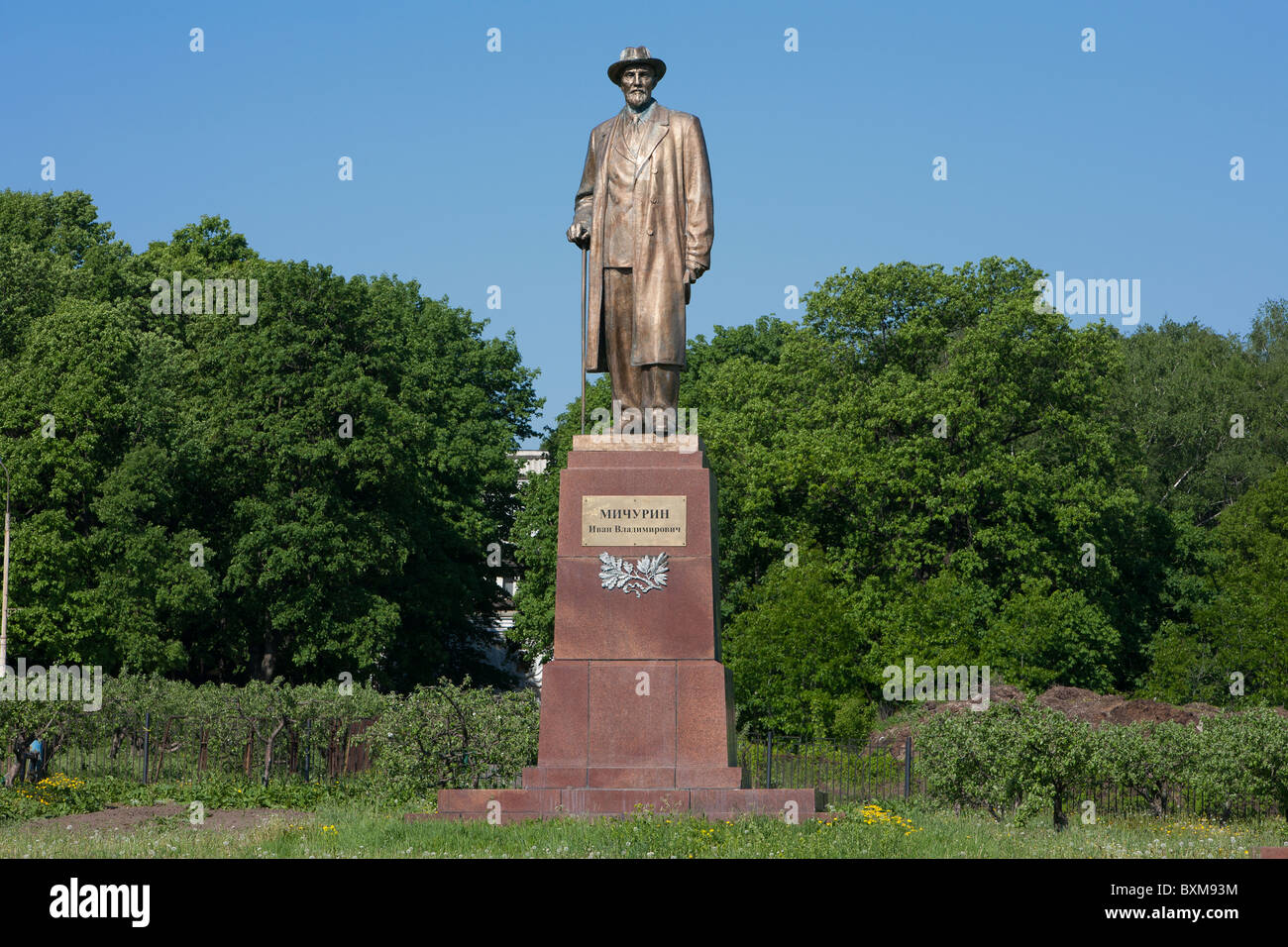 Statue of the Russian botanist Ivan Michurin at the All-Russian ...