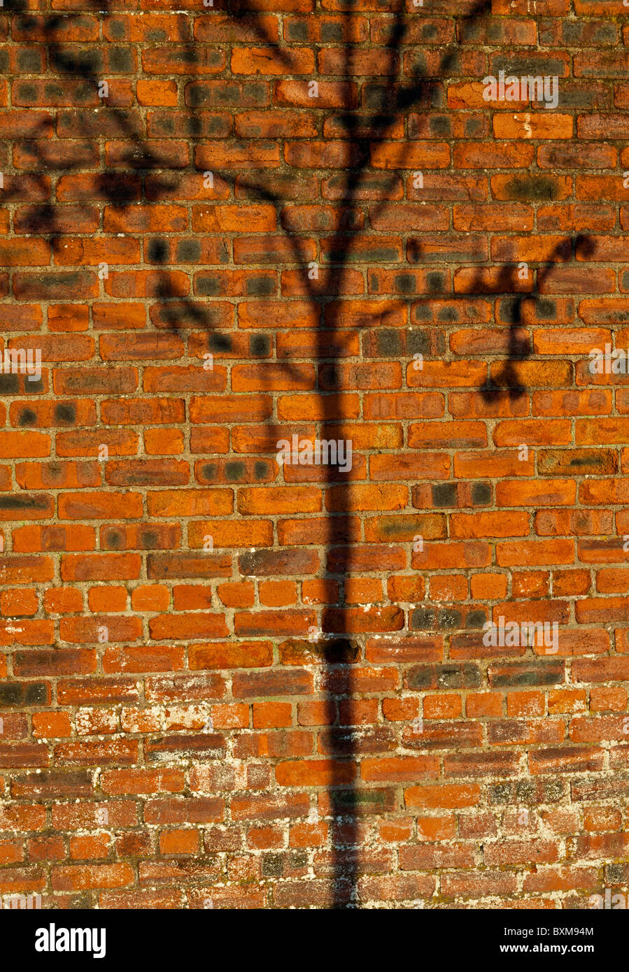 Shadow bricks hi-res stock photography and images - Alamy