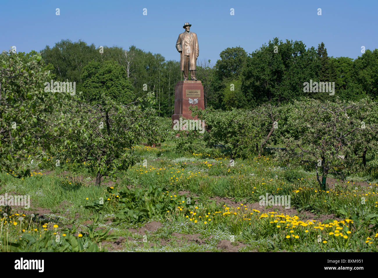 Statue of the Russian botanist Ivan Michurin at the All-Russian ...