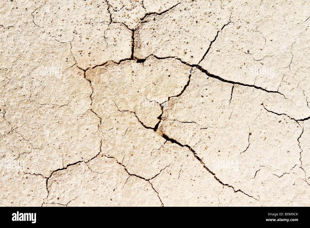 Dry sand texture under the sun. Summer day Stock Photo - Alamy