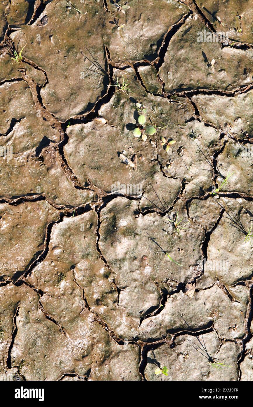 Dirt texture hi-res stock photography and images - Alamy