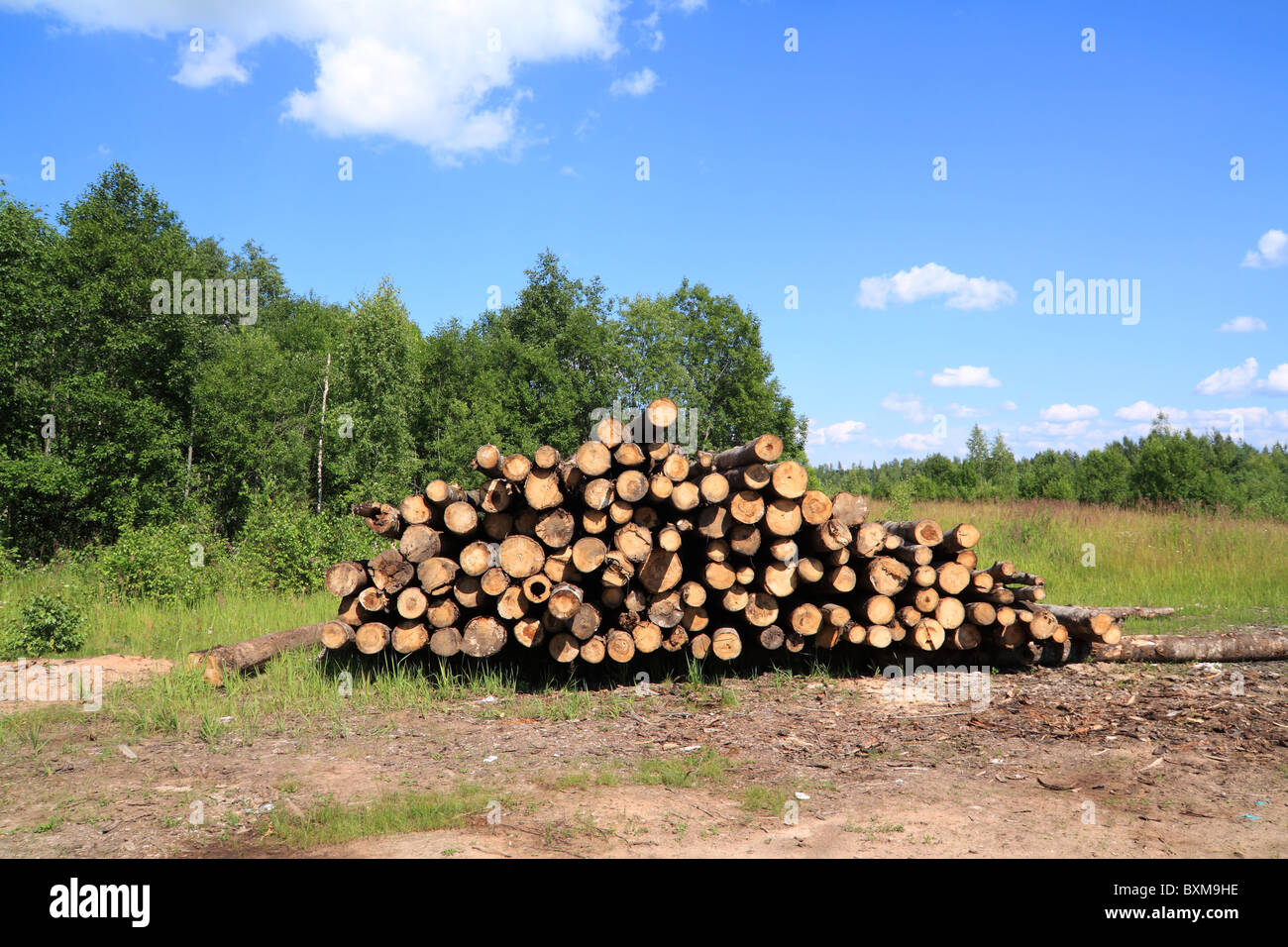 Hewn down hi-res stock photography and images - Alamy