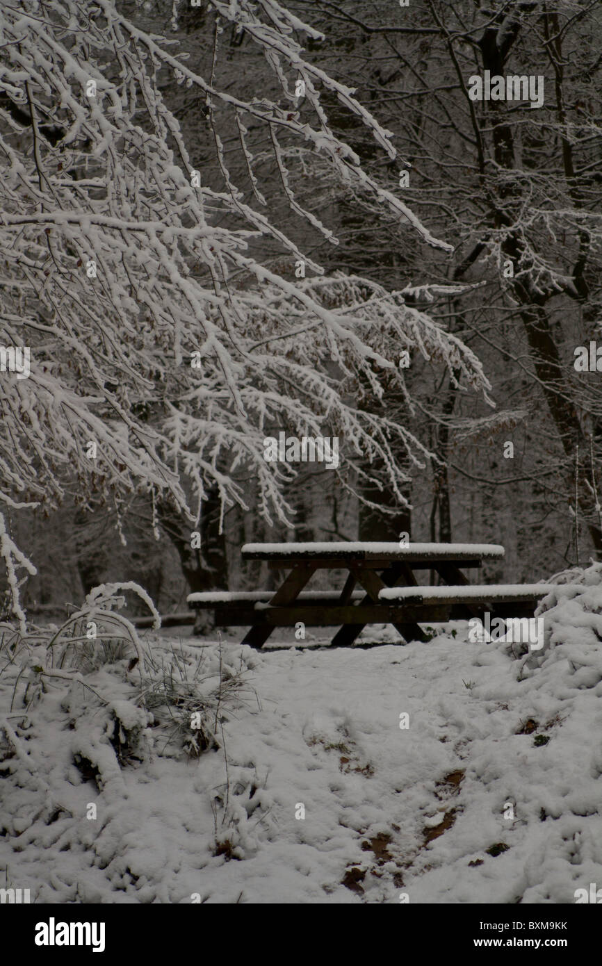 Snow_landscape hi-res stock photography and images - Alamy