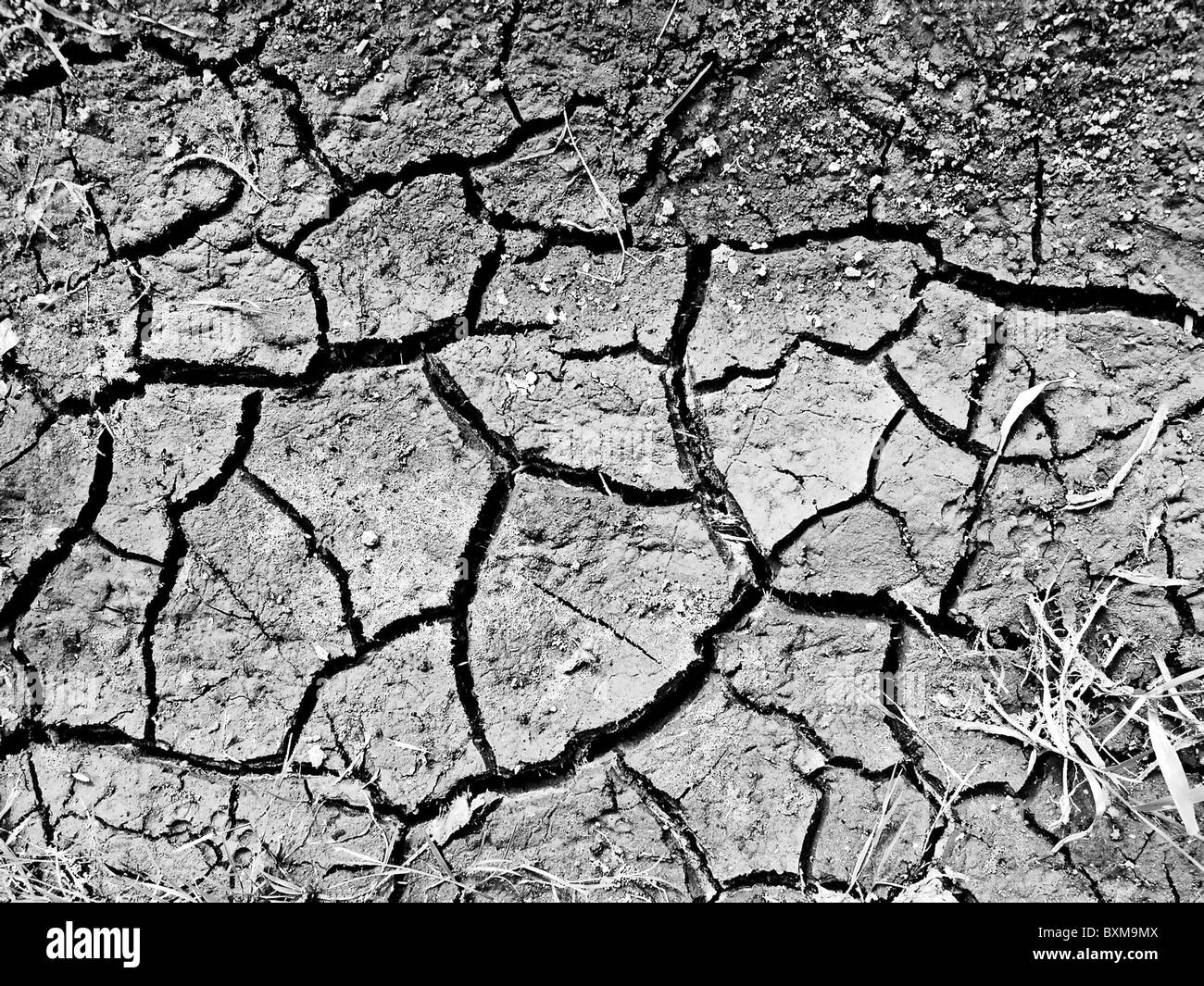 Land pollution Black and White Stock Photos & Images - Alamy