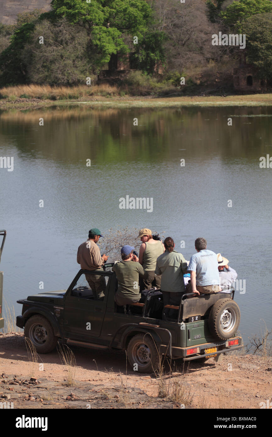 Safari Jeep, Ranthambhore National Park, Rajasthan, India, Asia Stock ...