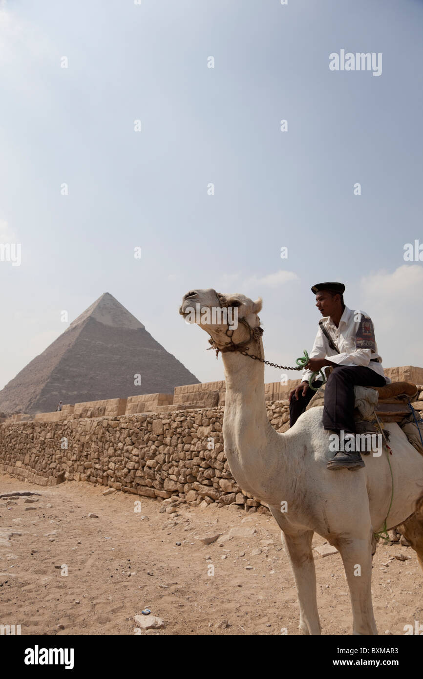 Egyptian tourist police rest on camel's back in Giza. Pyramid of Khafre ...
