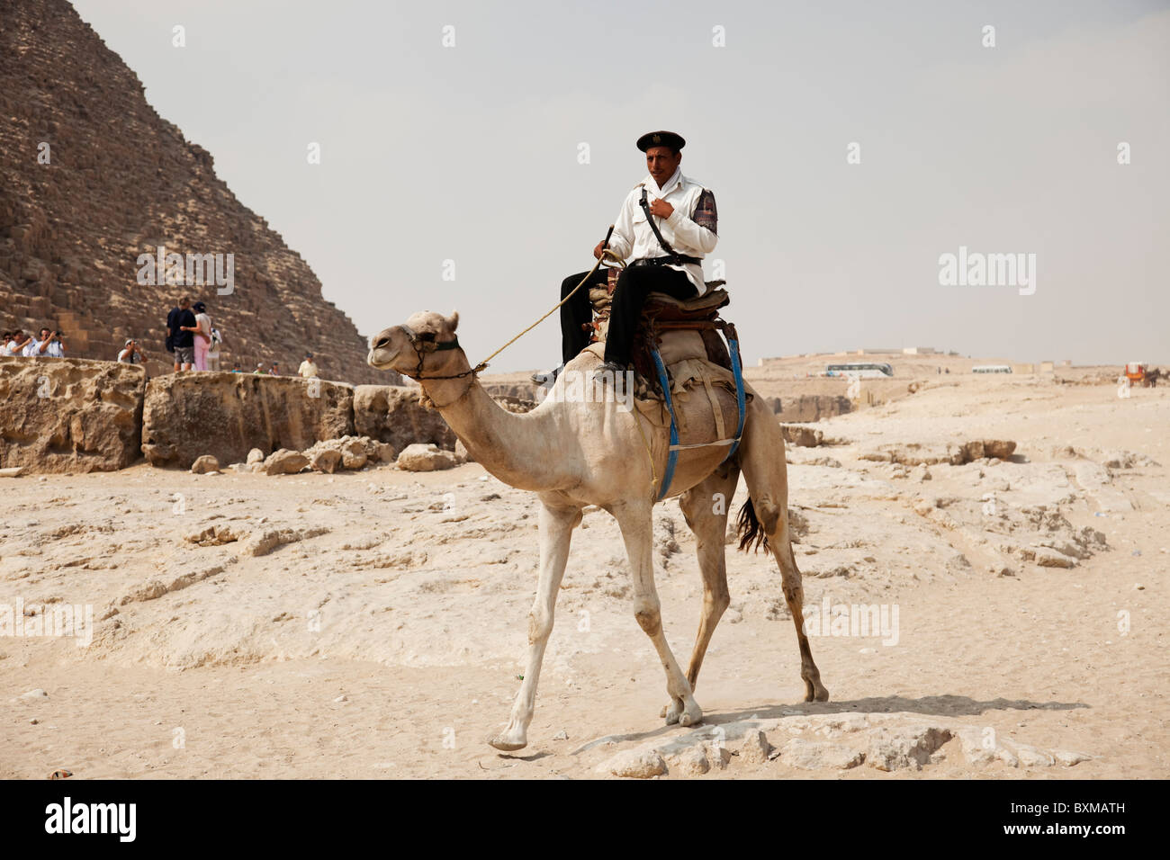 Police camel hi-res stock photography and images - Alamy