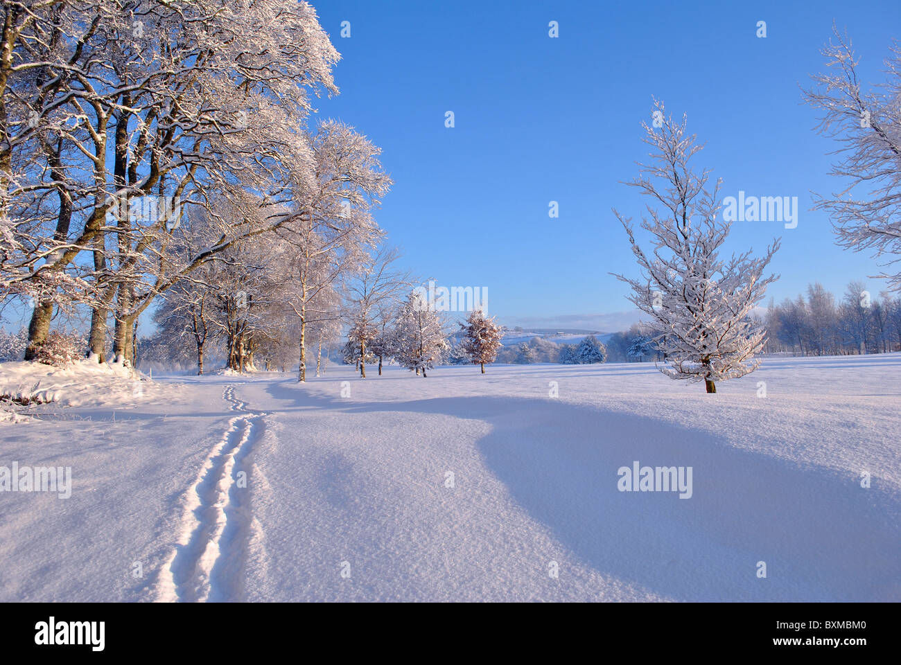winter scene in ireland Stock Photo - Alamy