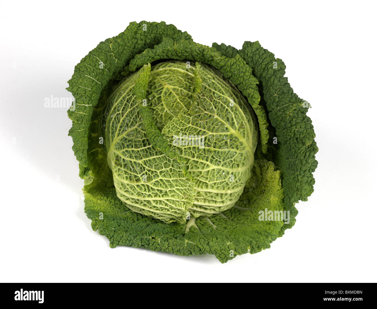Close Up Shot Of A Fresh Healthy Raw Uncooked Savoy Cabbage With No ...