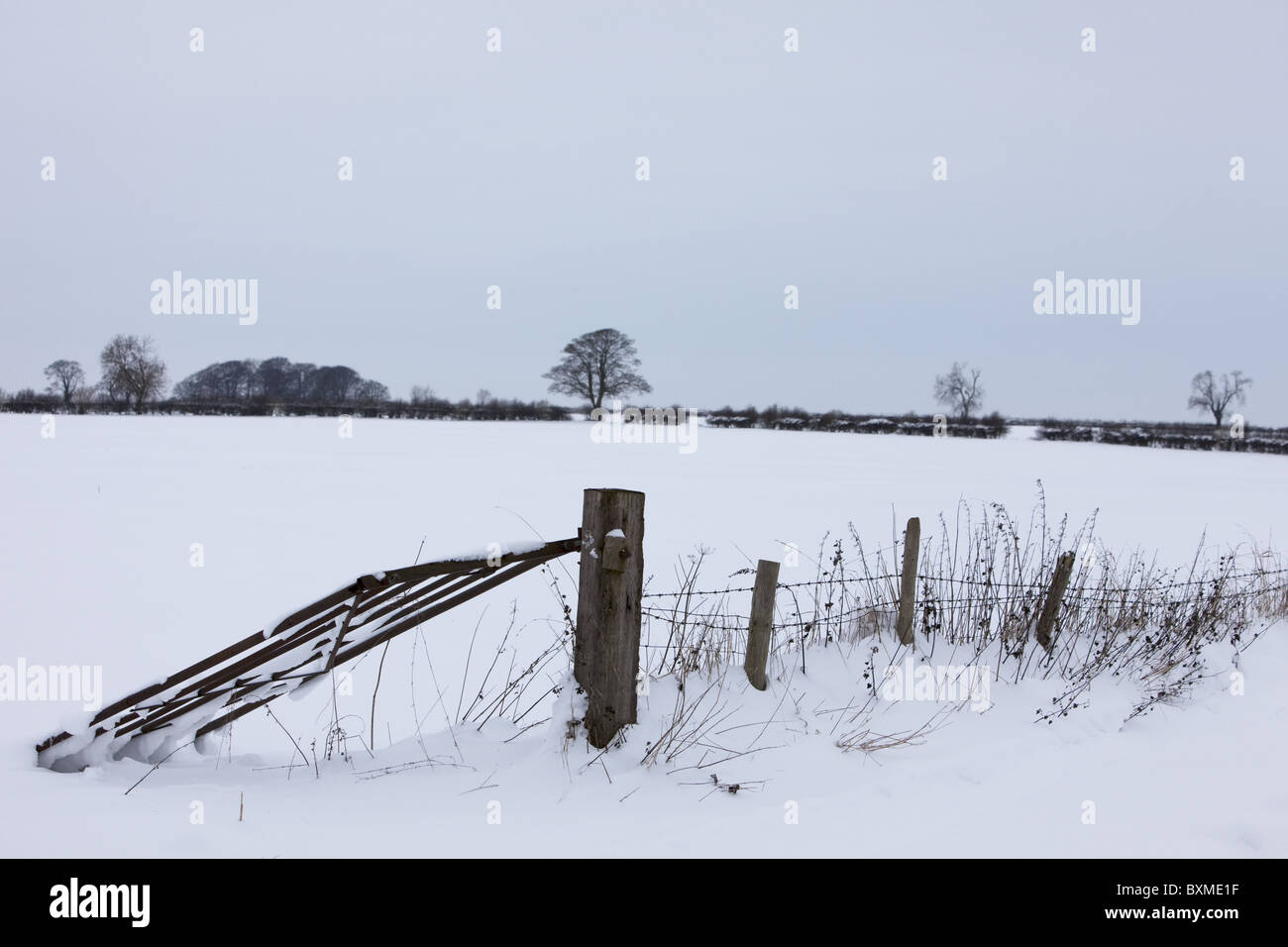 snowy countryside scene Stock Photo - Alamy