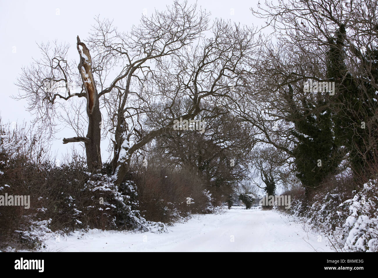 snowy countryside scene Stock Photo - Alamy