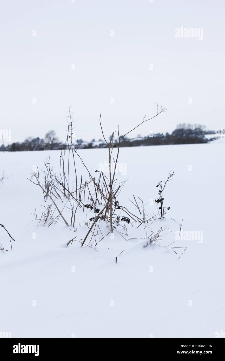 snowy countryside scene Stock Photo - Alamy