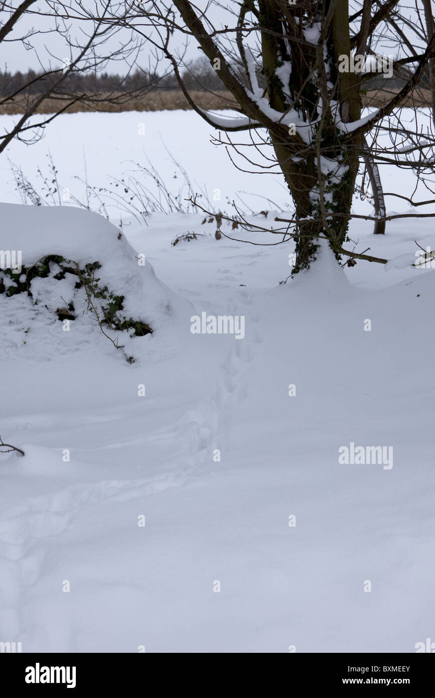 snowy countryside scene Stock Photo - Alamy