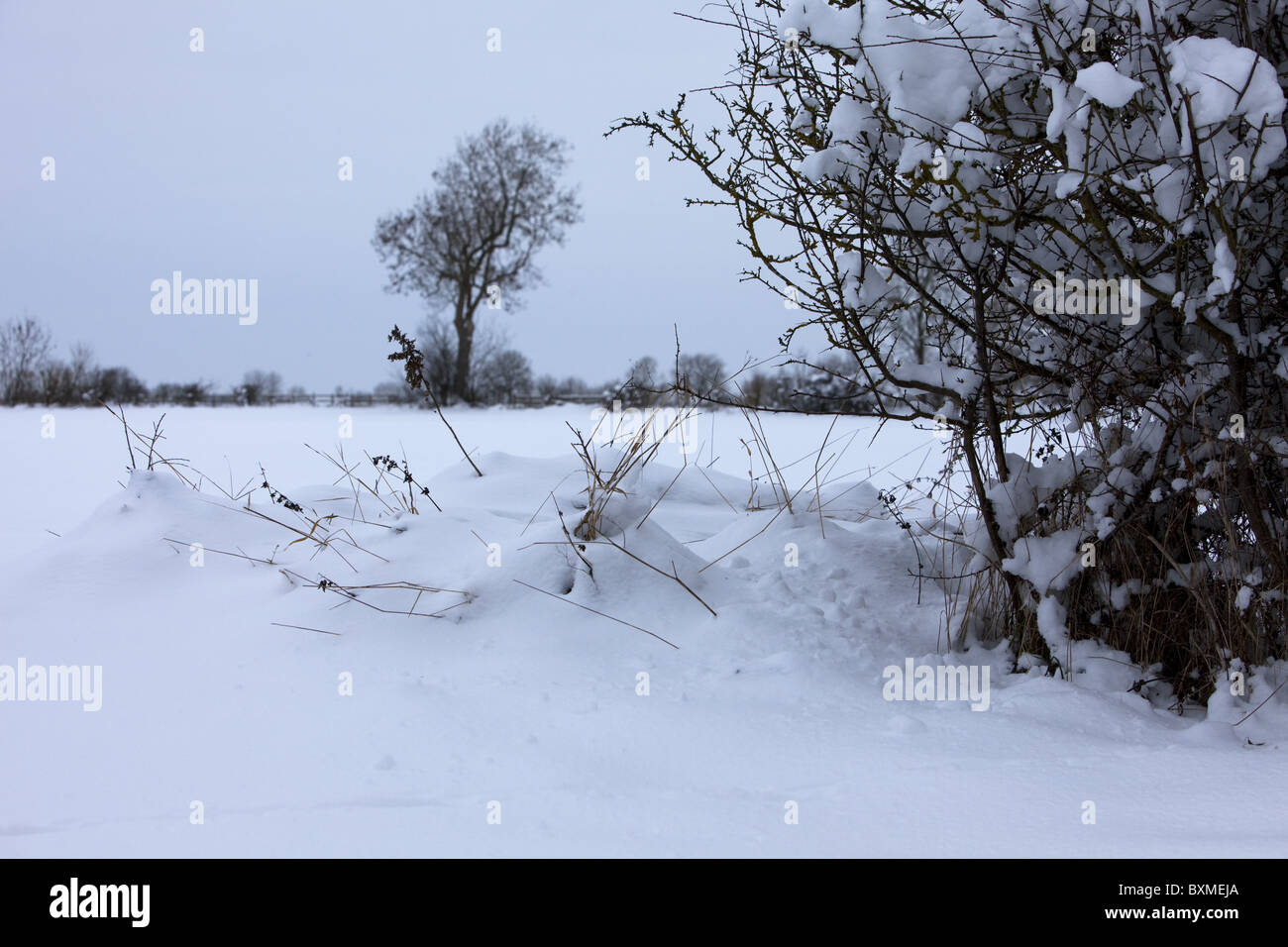 snowy countryside scene Stock Photo - Alamy