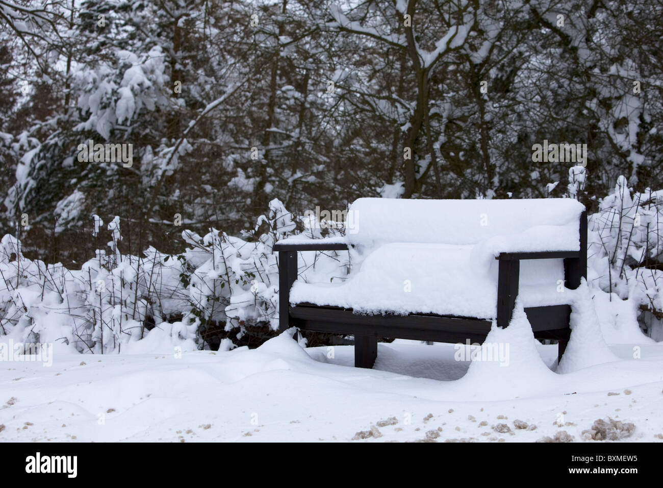 snow covered bench Stock Photo - Alamy