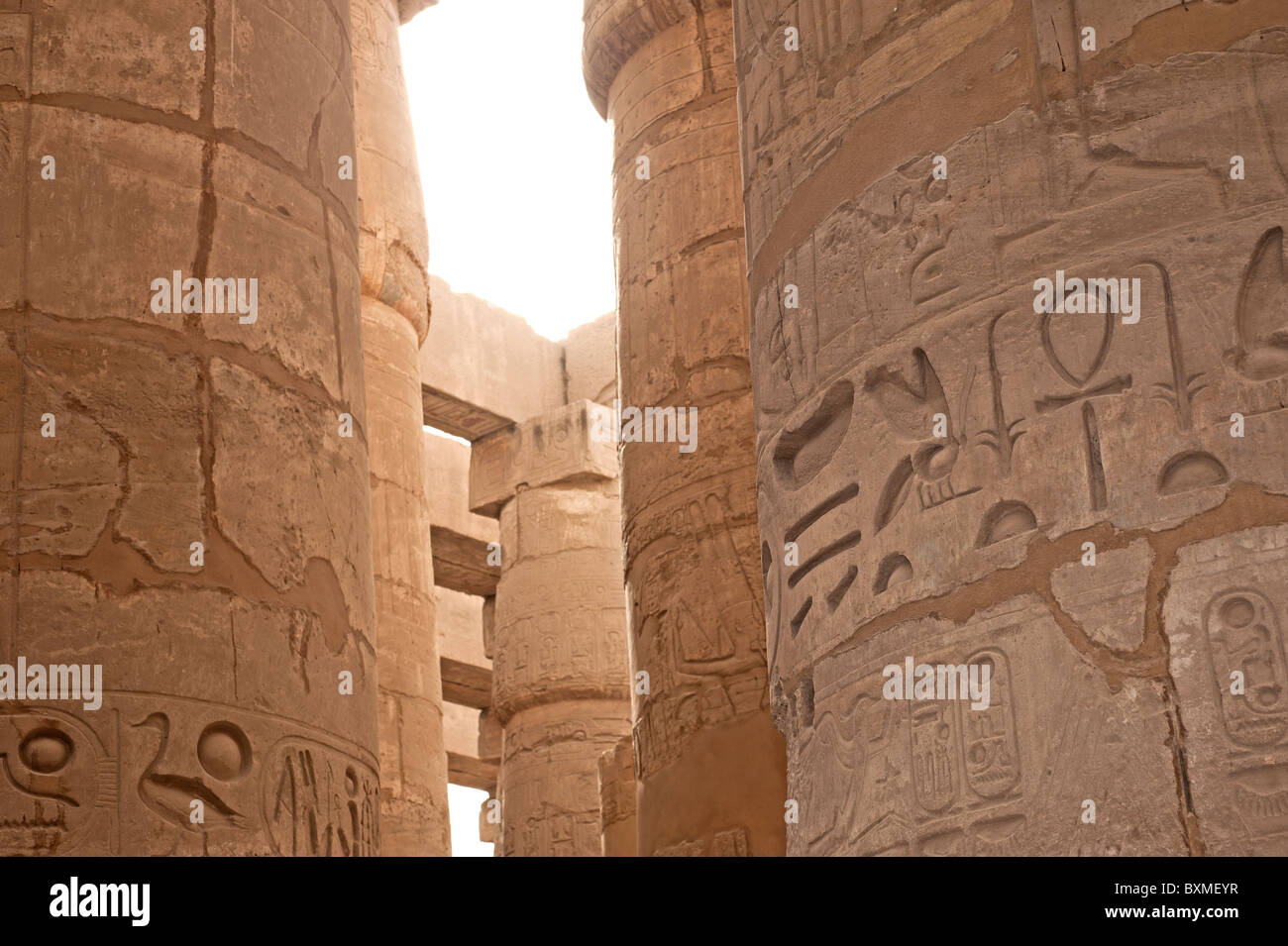Columns with hieroglyphic carvings at Karnak temple in Luxor Stock ...