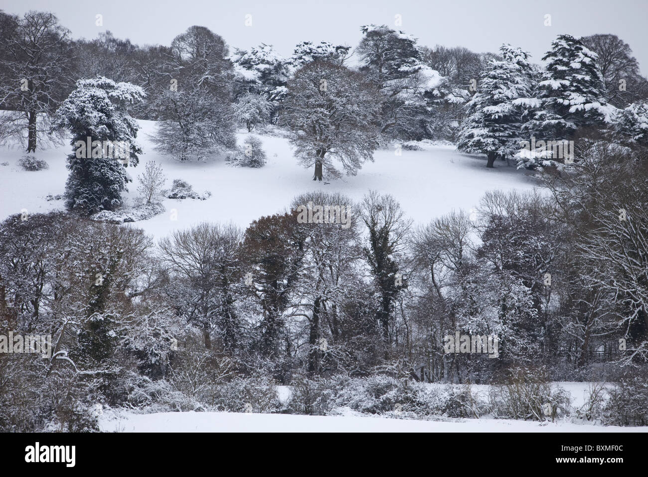 snowy countryside scene Stock Photo - Alamy
