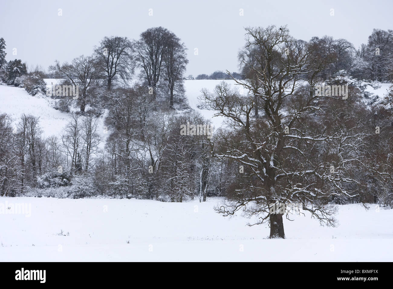 snowy countryside scene Stock Photo - Alamy