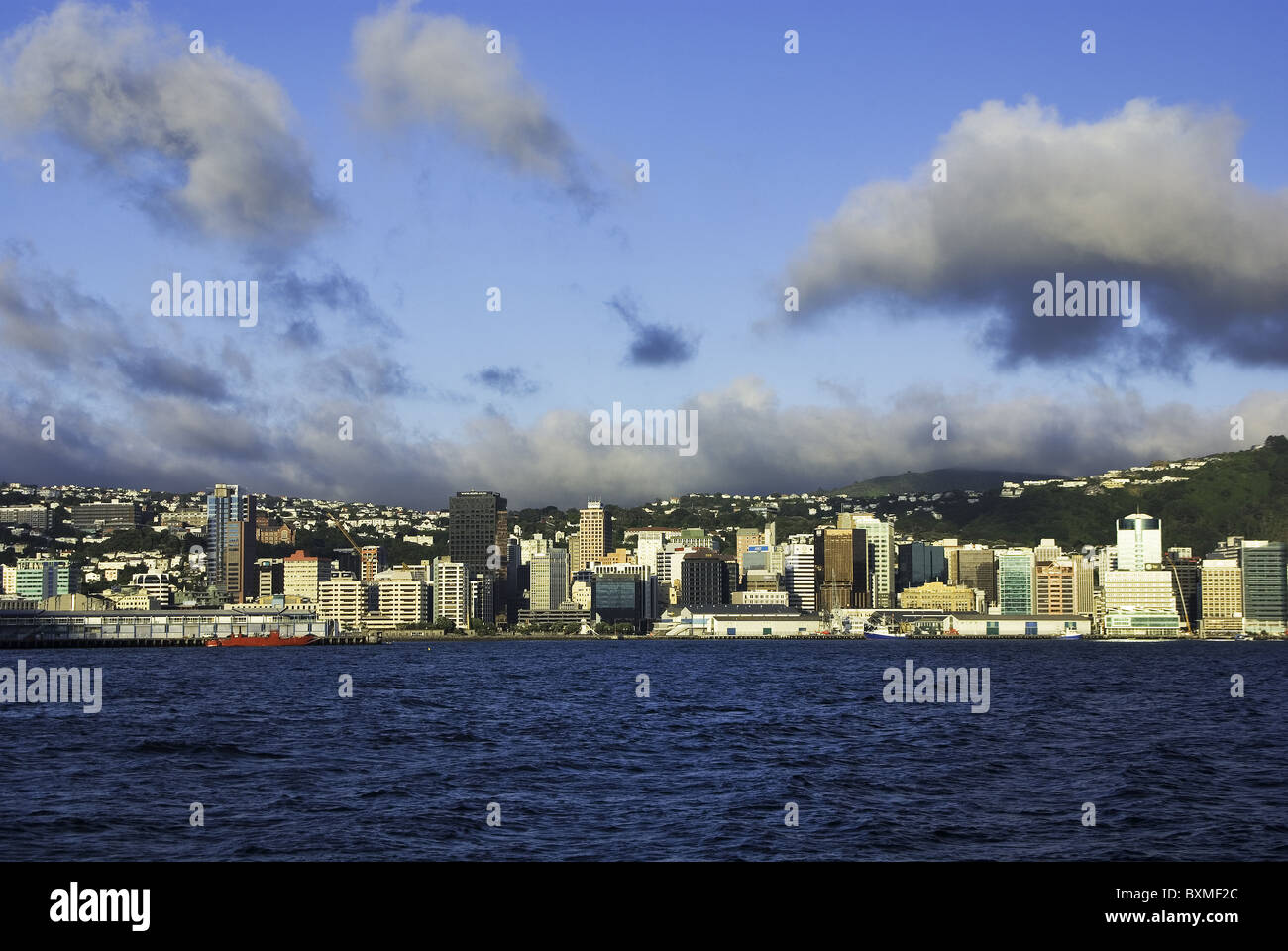 Wellington skyline,new zealand Stock Photo - Alamy