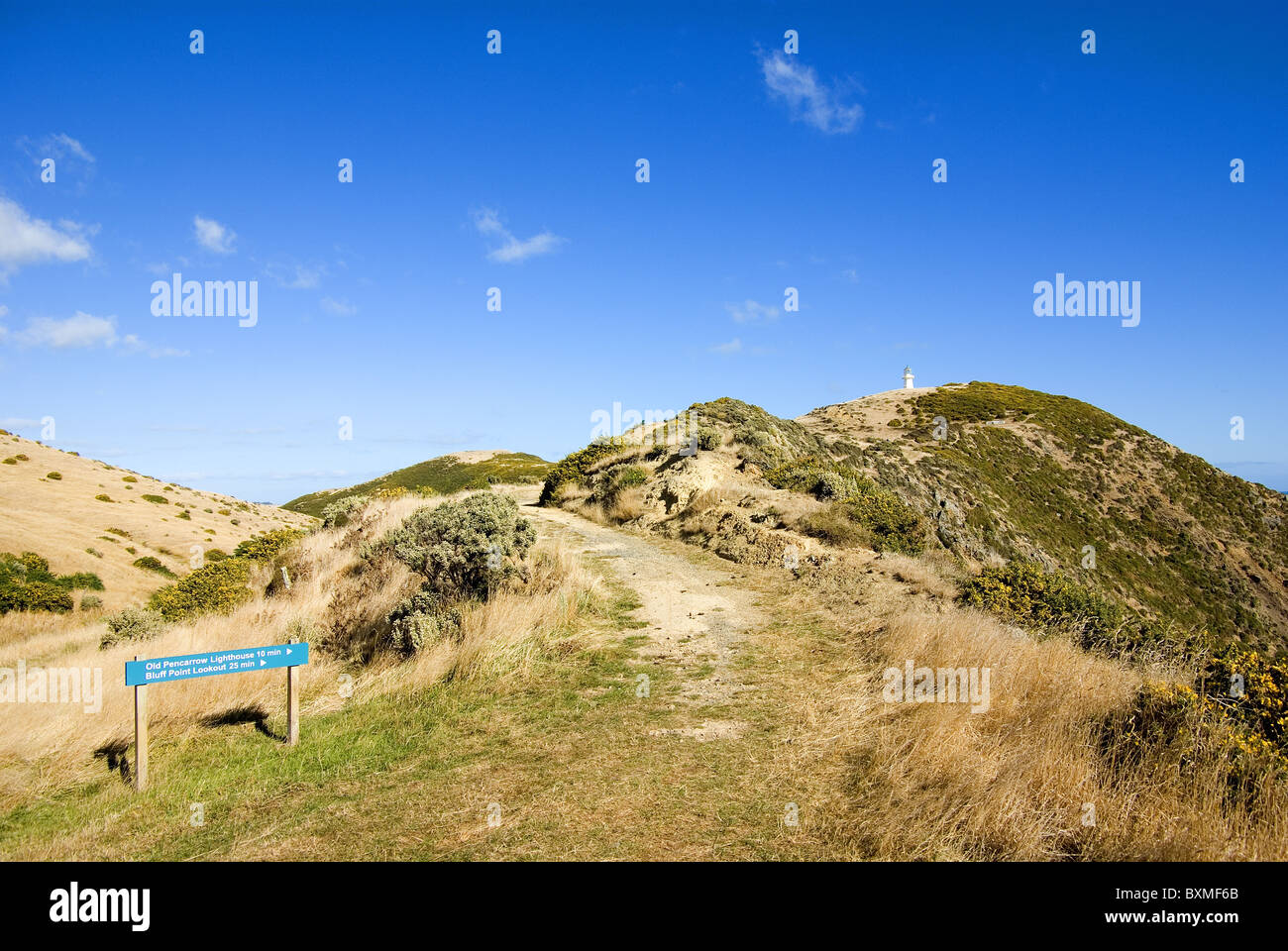 Pencarrow lighthouse hi-res stock photography and images - Alamy