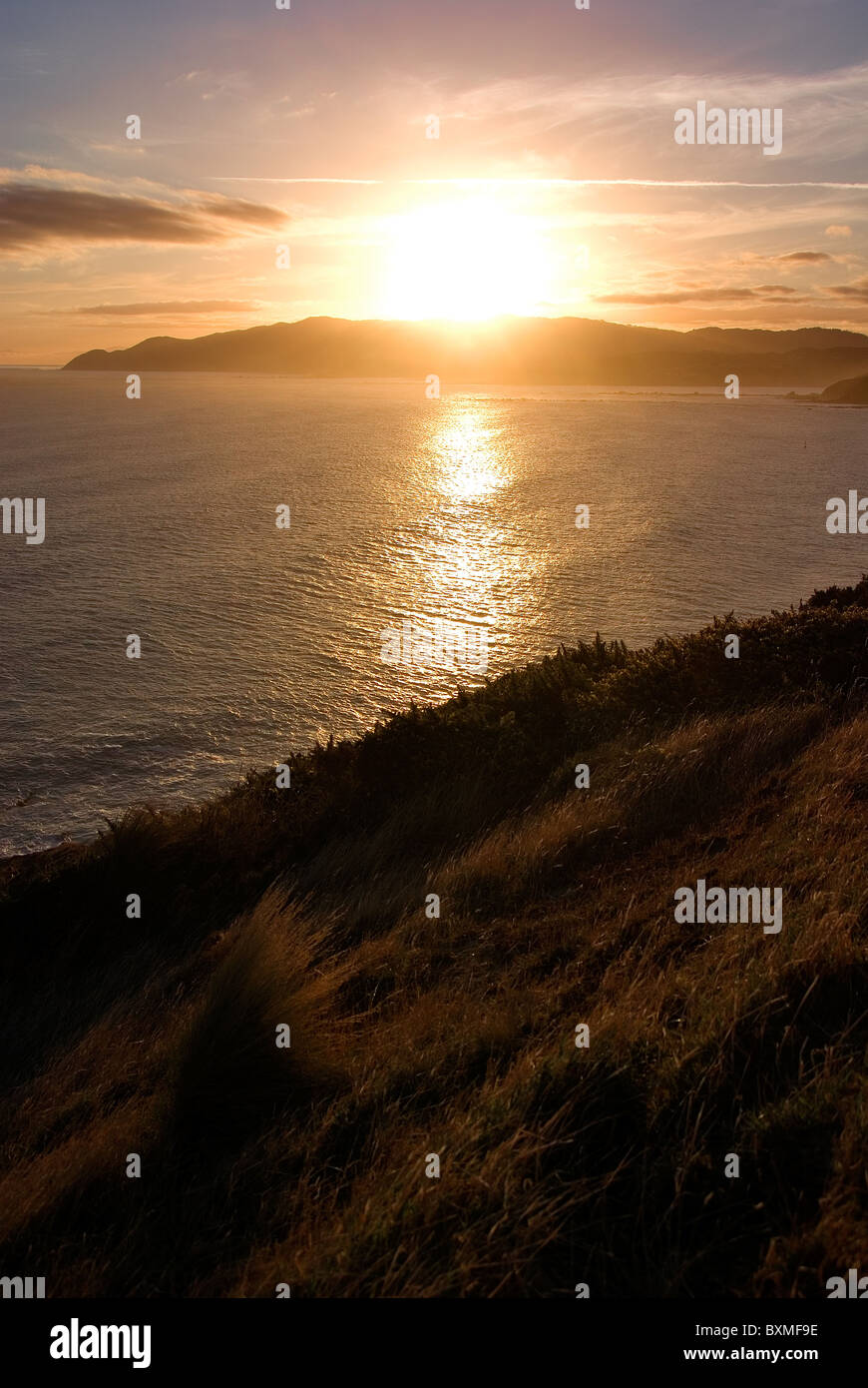 Miramar peninsula hi-res stock photography and images - Alamy