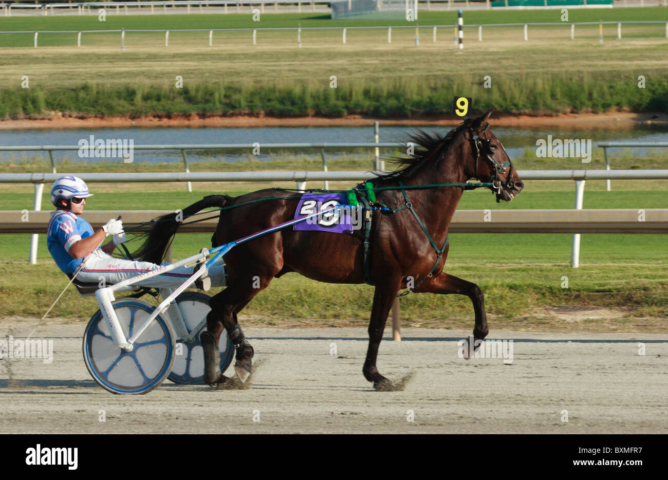 Harness racing at Colonial Downs racetrack in New Kent County, Virginia ...