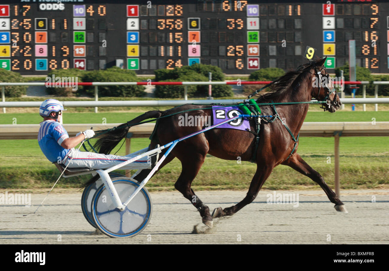 Harness racing at Colonial Downs racetrack in New Kent County, Virginia ...