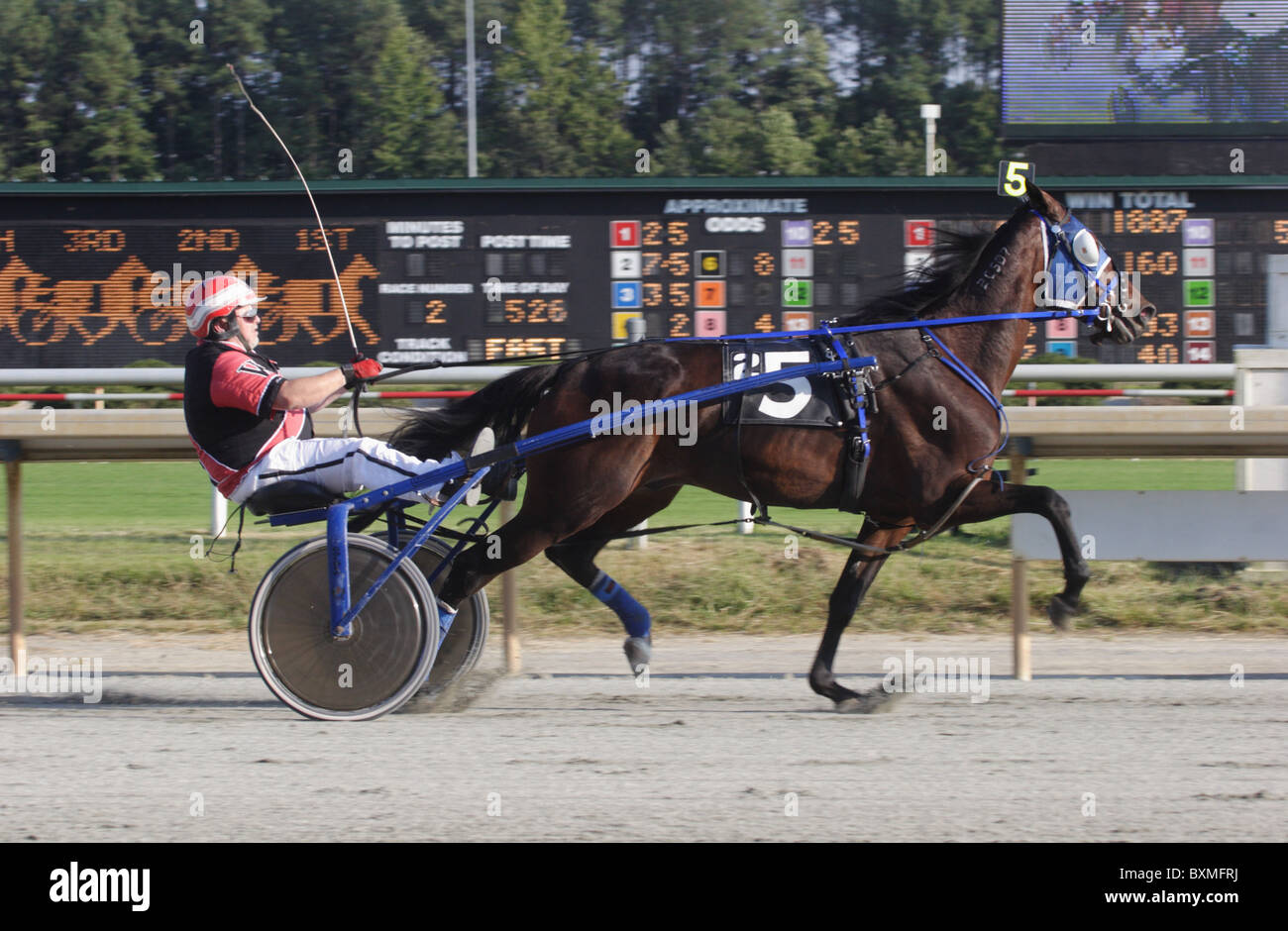 Jockey colonial downs racetrack new hi-res stock photography and images ...