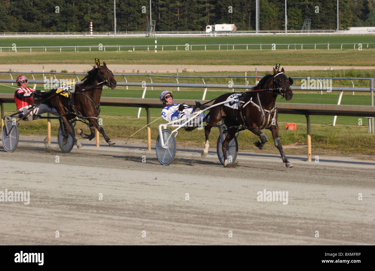 Harness racing at Colonial Downs racetrack in New Kent County, Virginia ...