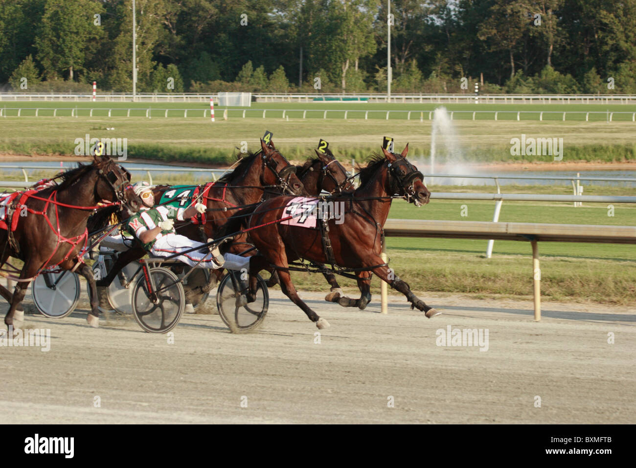 Harness racing at Colonial Downs racetrack in New Kent County, Virginia ...