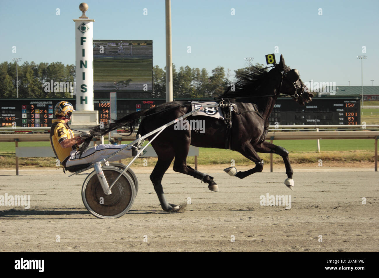 Harness racing at Colonial Downs racetrack in New Kent County, Virginia ...