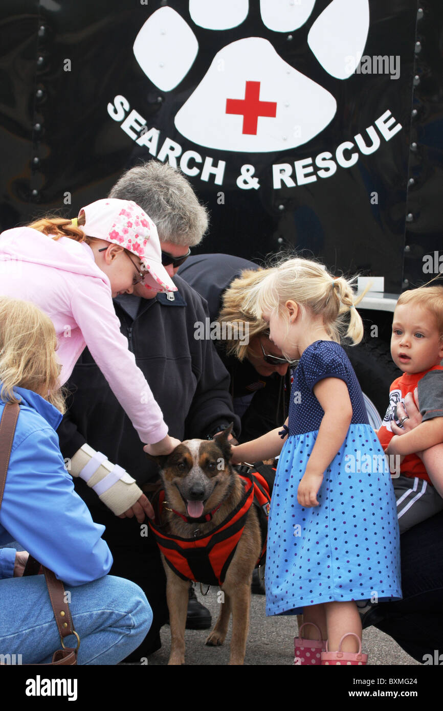Search And Rescue Dog Stock Photos & Search And Rescue Dog Stock Images ...