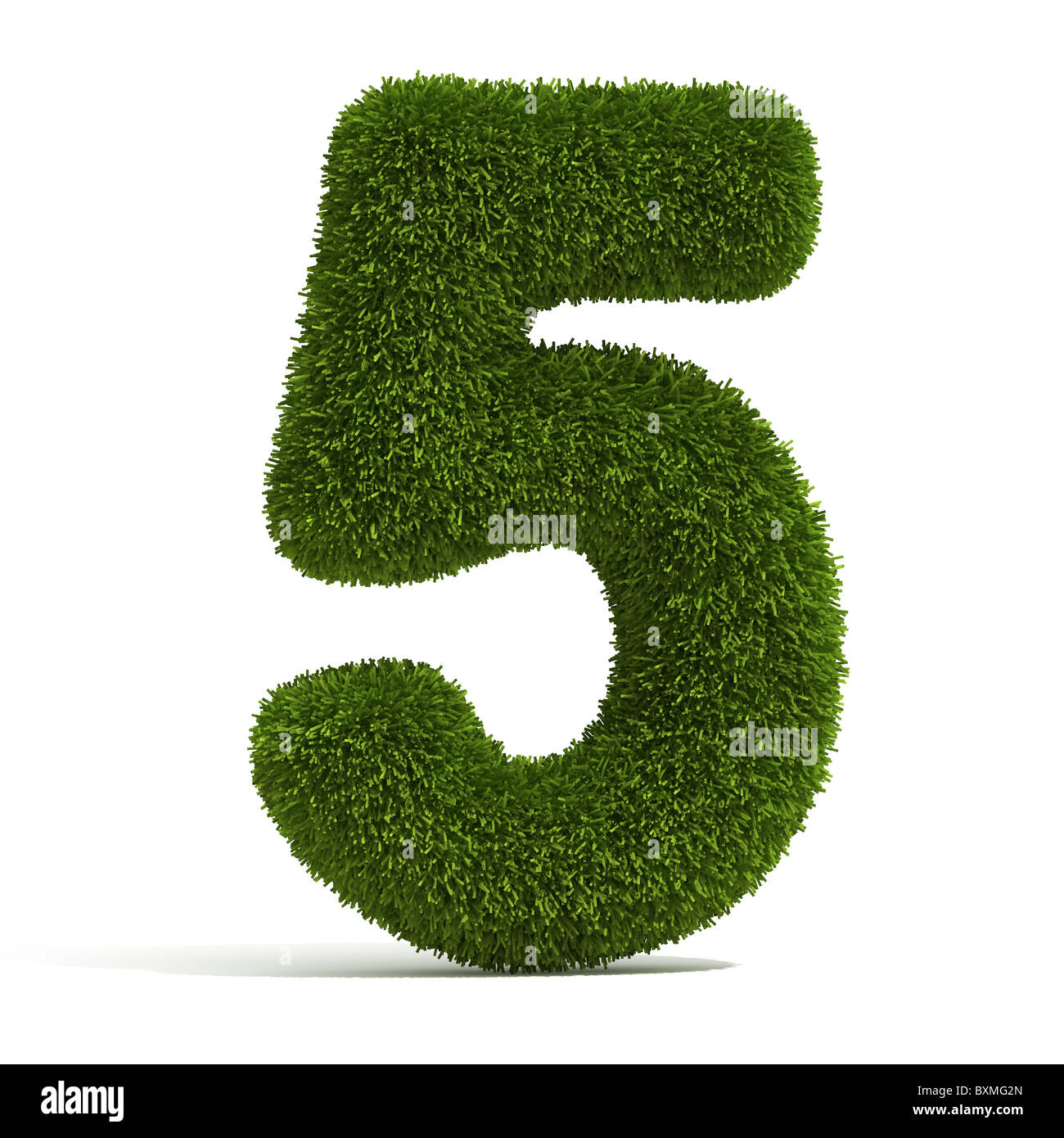 Five grass Cut Out Stock Images & Pictures - Alamy
