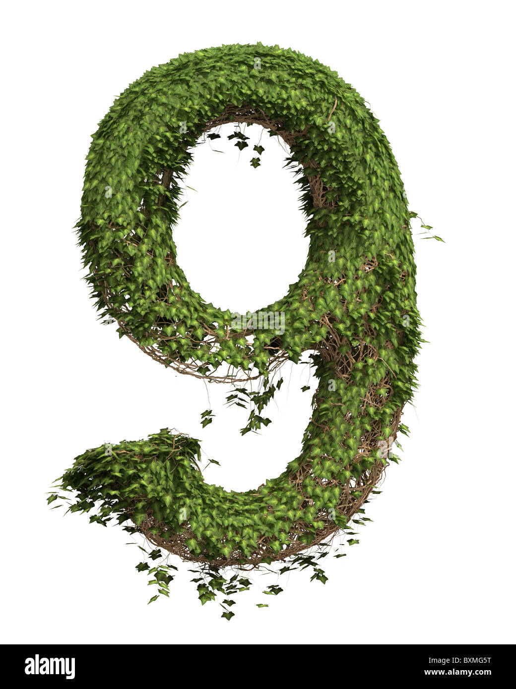 The Number 9 - Ivy Stock Photo - Alamy