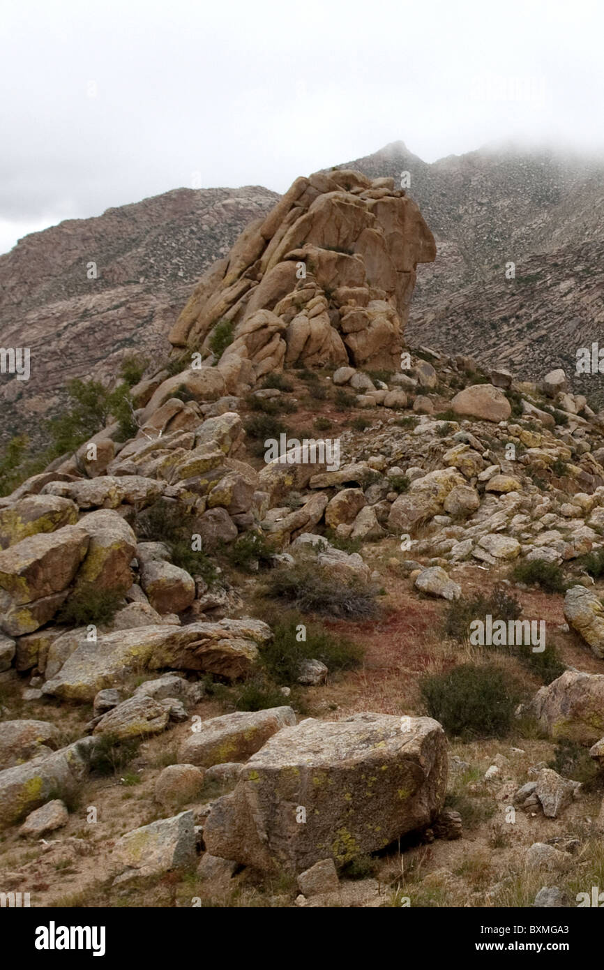 Giant Rock, Khongo Khan Uul Nature Reserve, Little Gobi, Mongolia Stock ...
