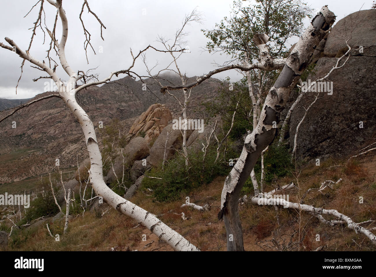 Vista, Khongo Khan Uul Nature Reserve, Little Gobi, Mongolia Stock ...