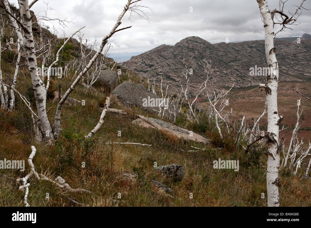 Vista, Khongo Khan Uul Nature Reserve, Little Gobi, Mongolia Stock ...
