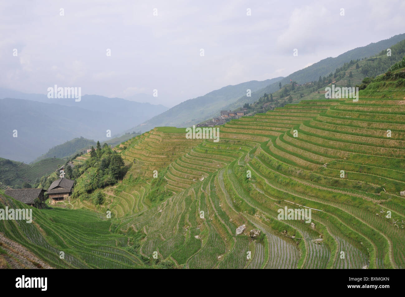 The spectacular Rice Terraces at Longji Titian, Guilin area, Southern ...