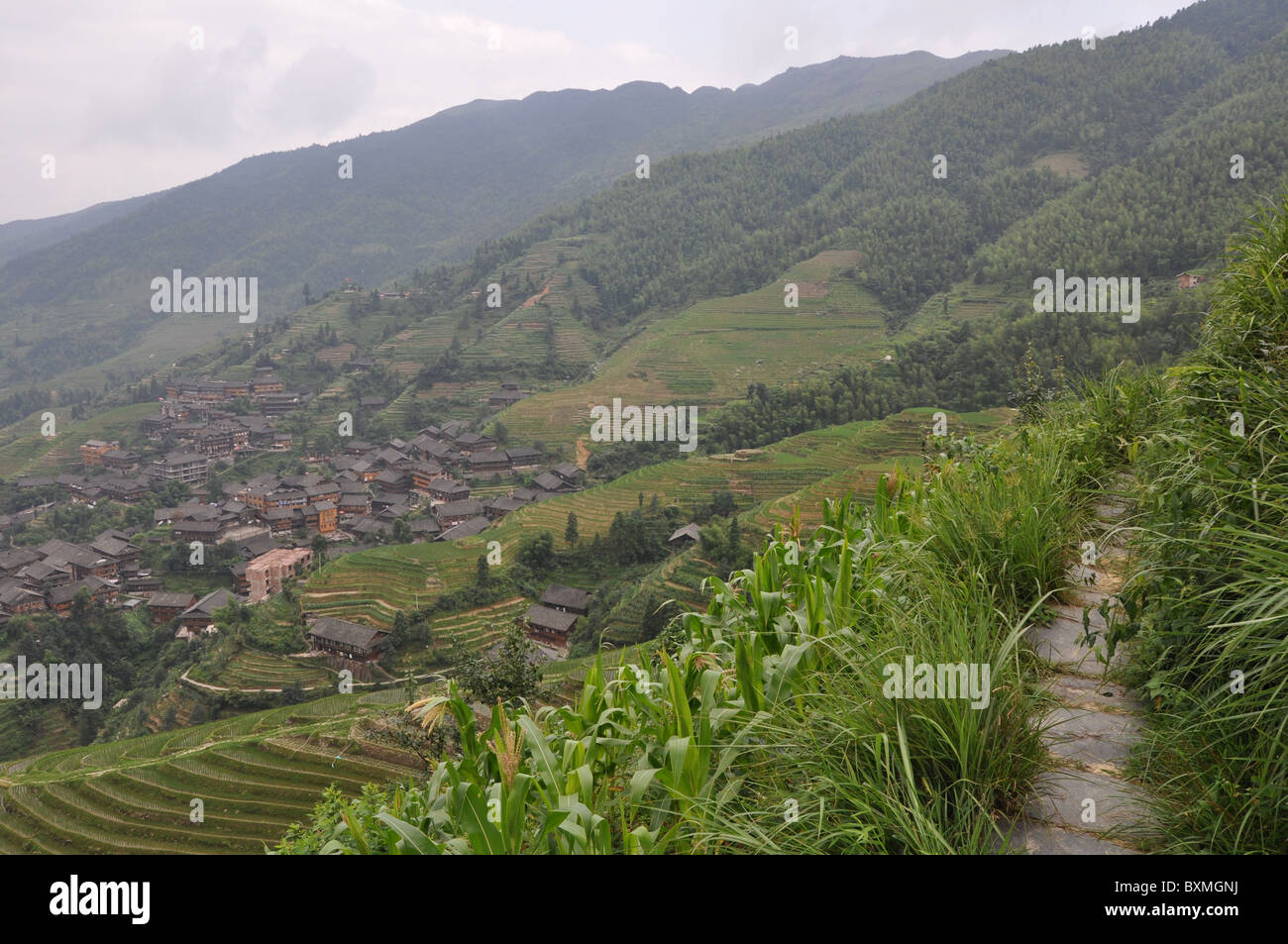 Wooden buildings in a stunning scenery at Longji Rice Terrace, Southern ...
