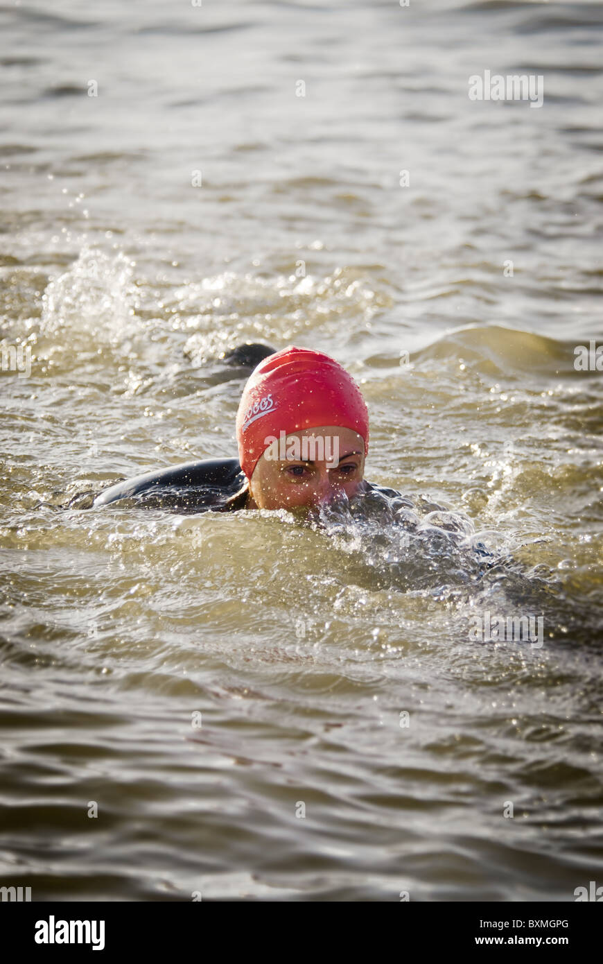 Brighton beach swim cold hi-res stock photography and images - Alamy