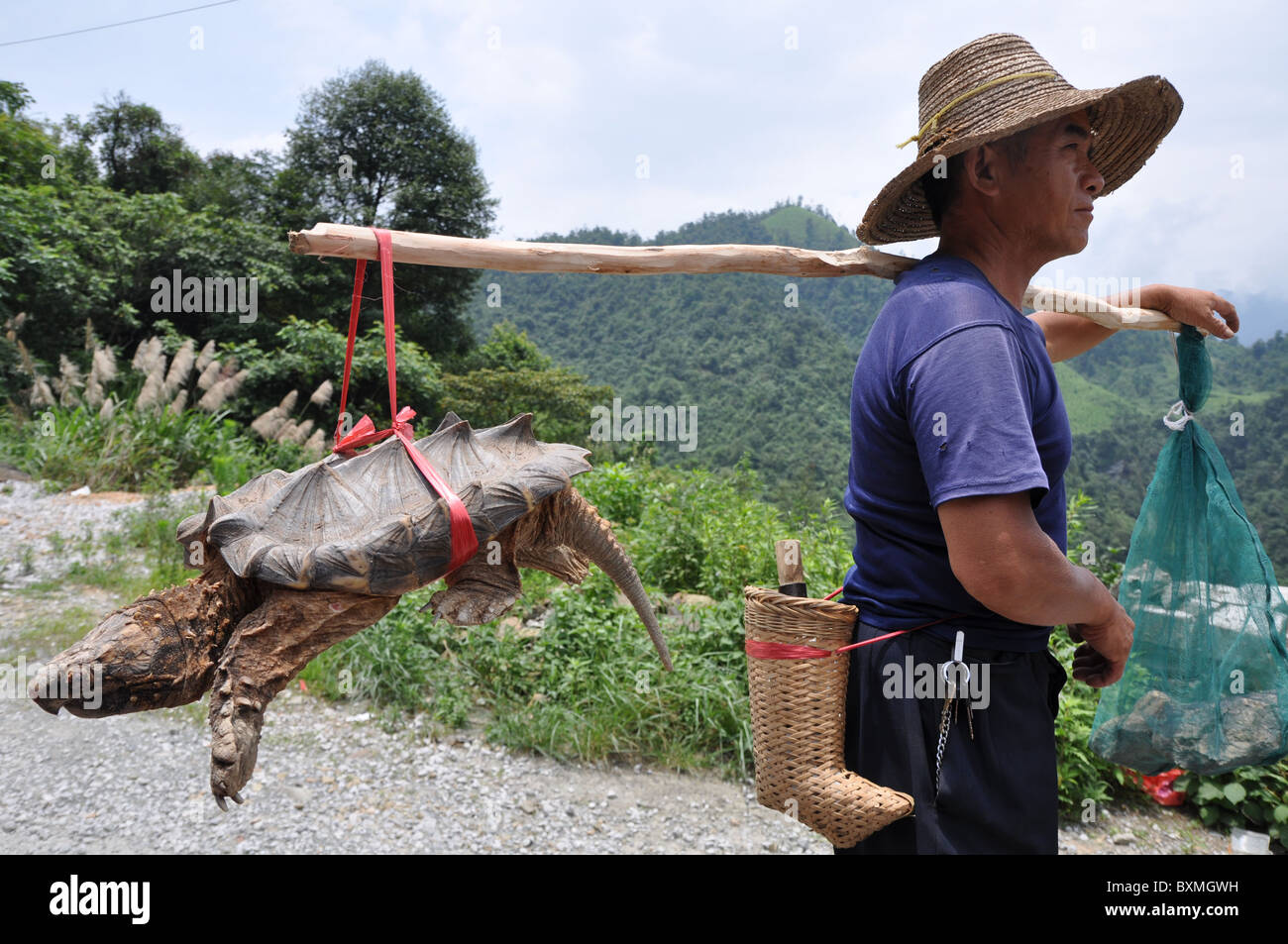 A Chinese man is bringing home the catch of the day; a big turtle ...