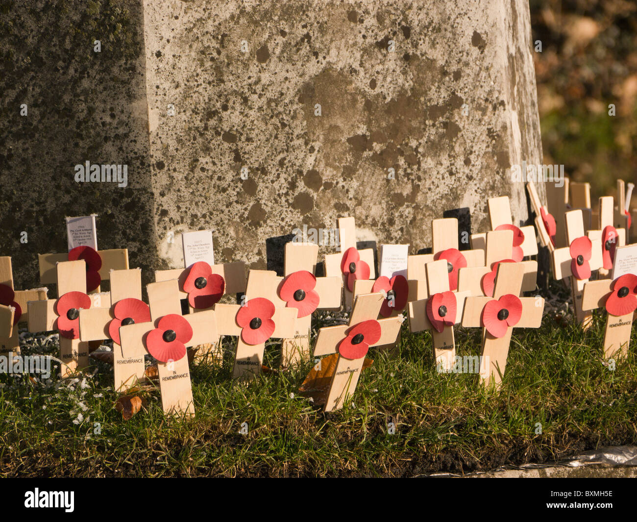 Poppies on crosses commemorating dead soldiers on remembrance day in an ...