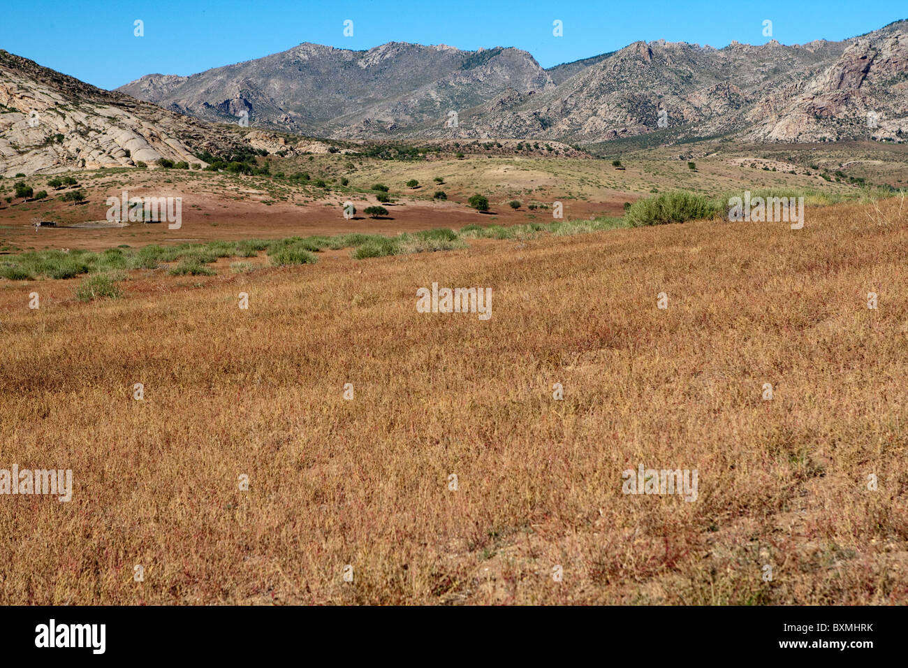 Vista, Khongo Khan Uul Nature Reserve, Little Gobi, Mongolia Stock ...
