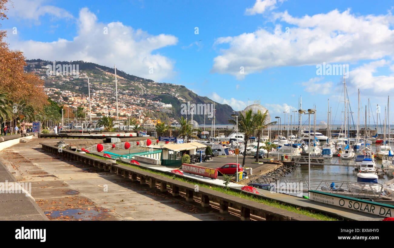 Marina and Promenade of Funchal, Madeira Stock Photo - Alamy