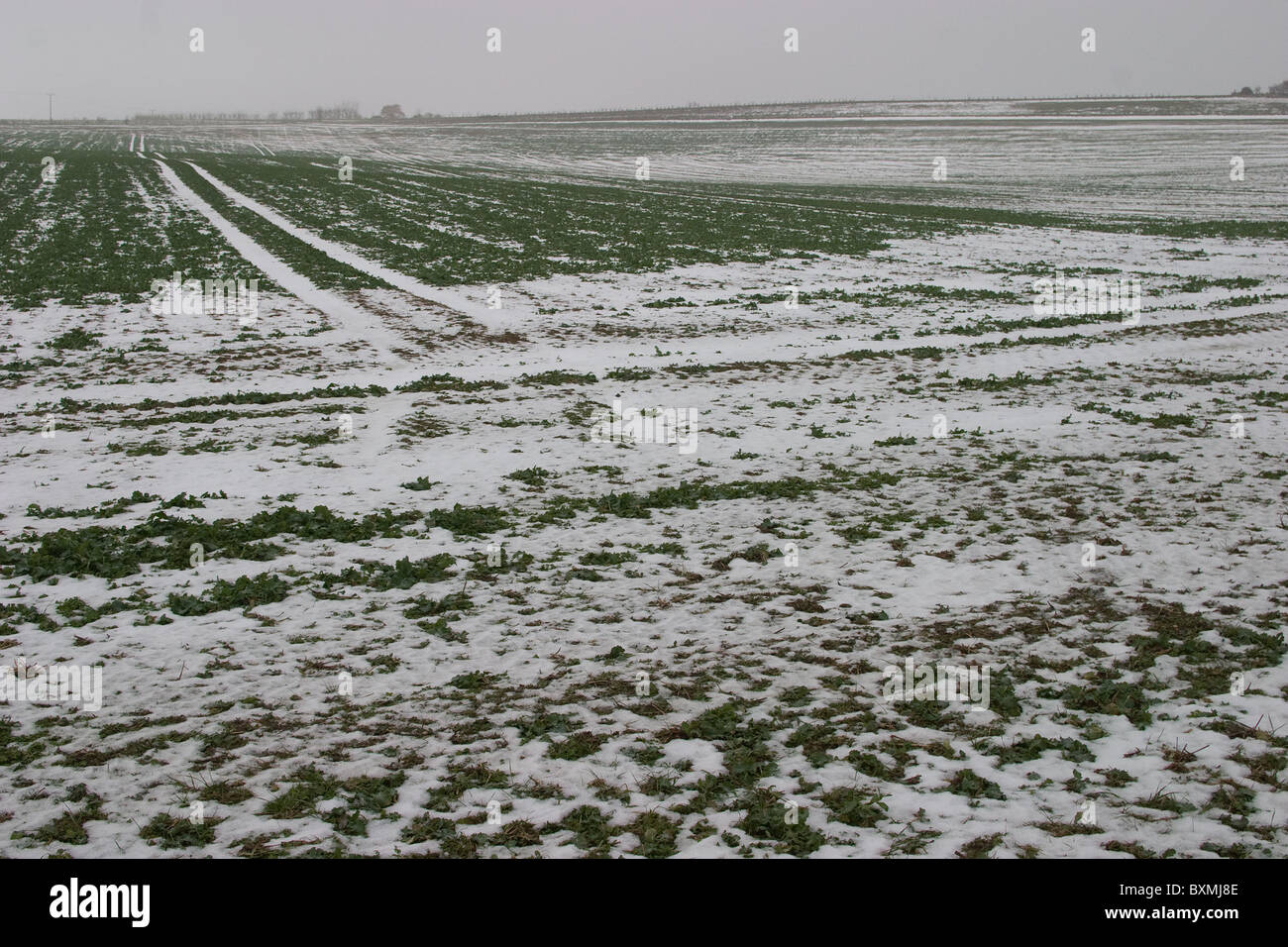 snow and ice in winter landscape Stock Photo - Alamy