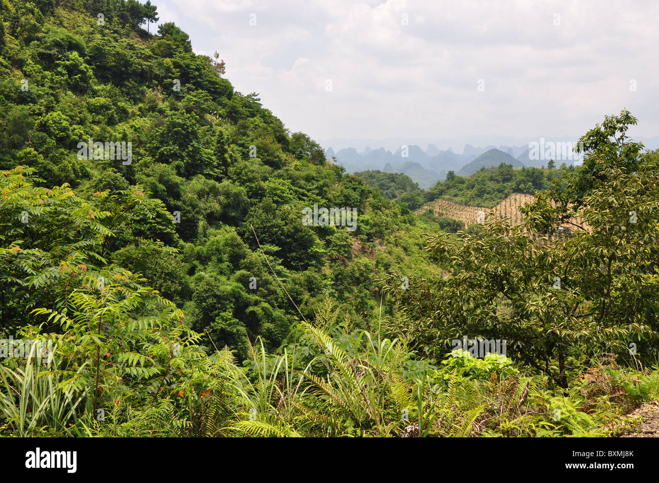 Beautiful scenery in the Guilin area, Southern China Stock Photo - Alamy