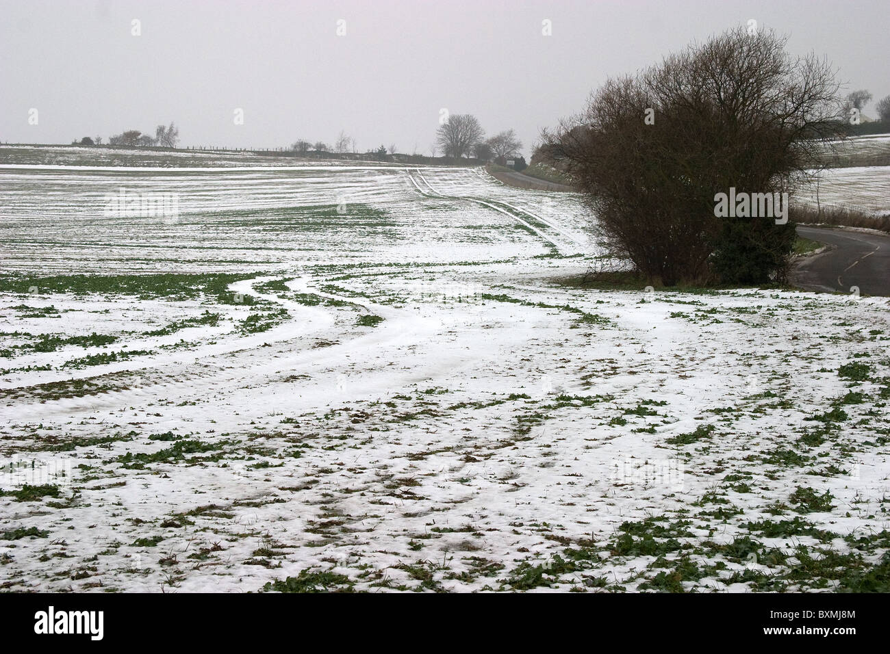 snow and ice in winter landscape Stock Photo - Alamy