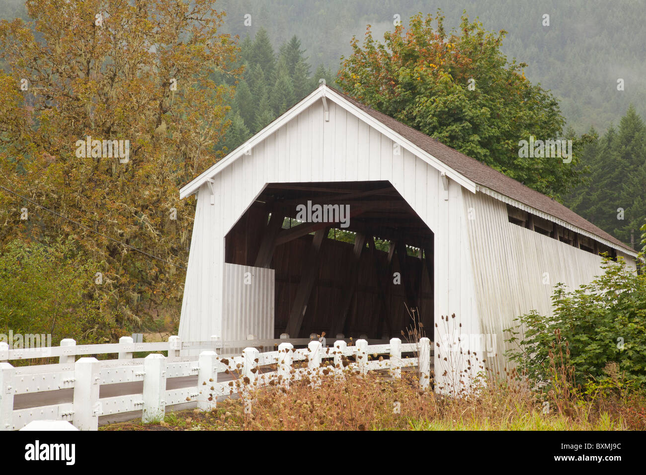 Alsea bridge hi-res stock photography and images - Alamy
